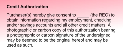 Foreclosure REO Addendum Disasters – iRealty Virtual Brokers