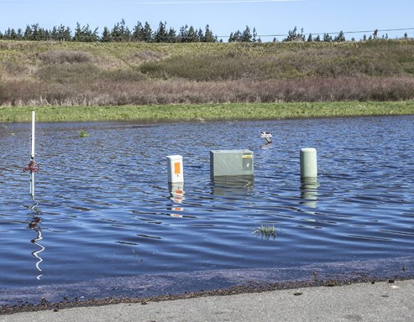Sequim Flood on Vacant Lots – iRealty Virtual Brokers